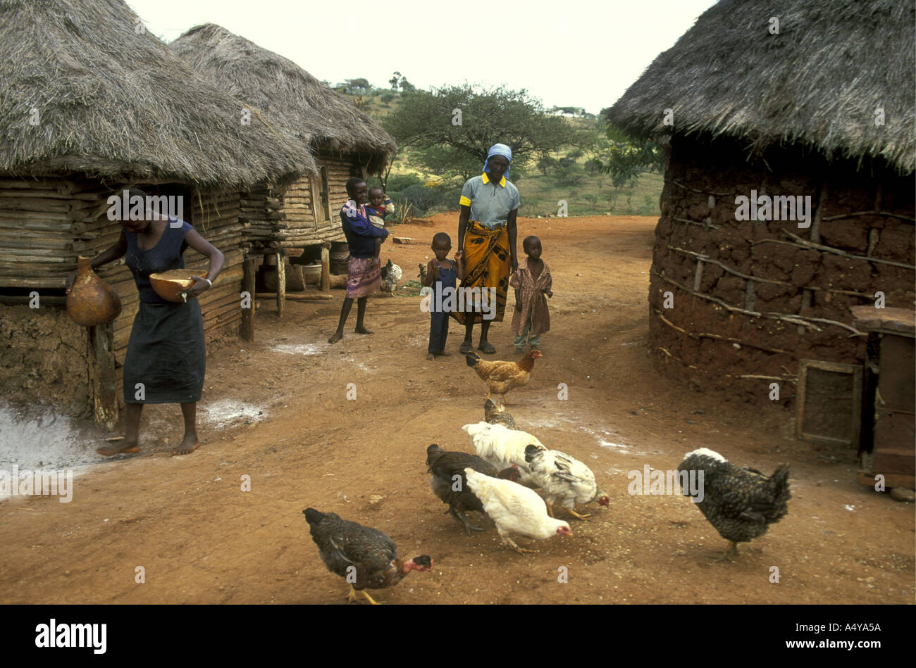 Rural Homestead Africa Stock Photos & Rural Homestead Africa Stock ...