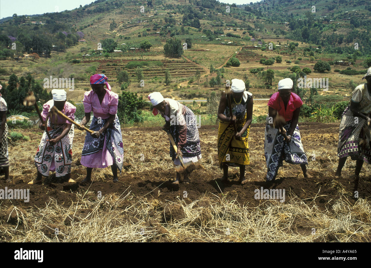 Kamba High Resolution Stock Photography and Images - Alamy