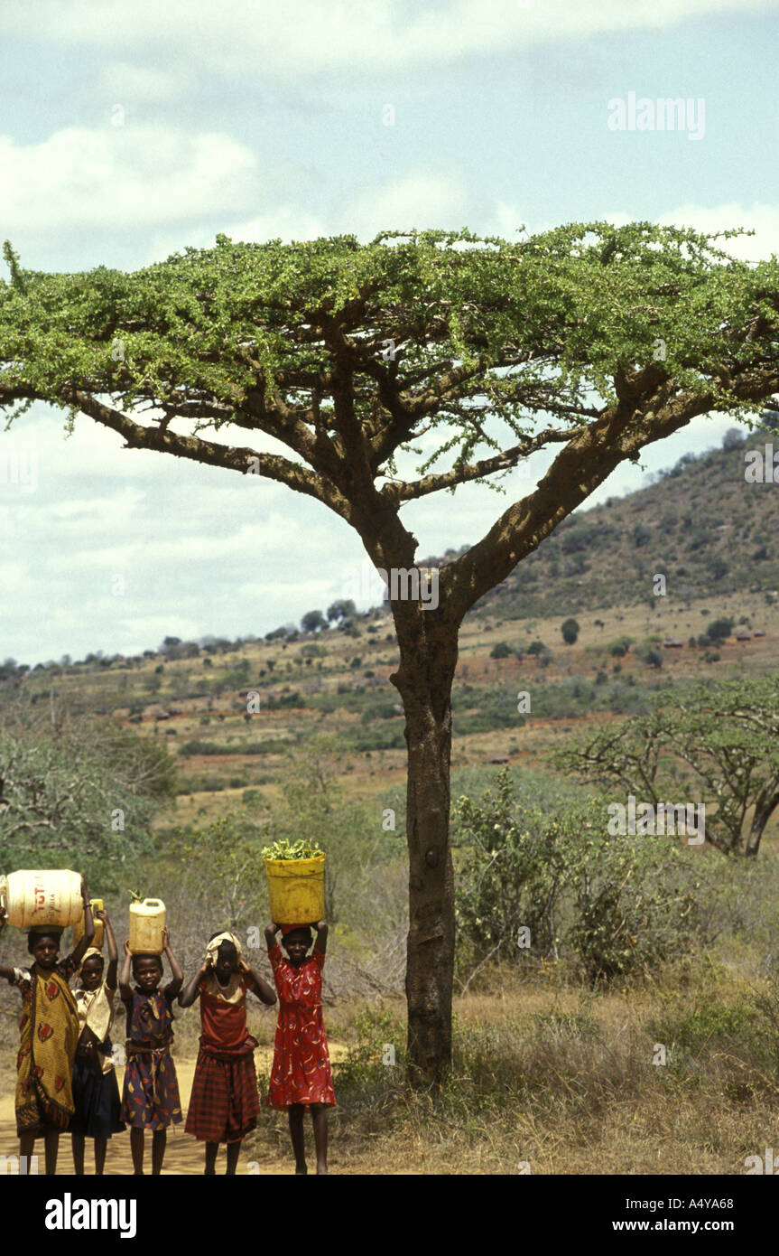 Kamba hi-res stock photography and images - Alamy