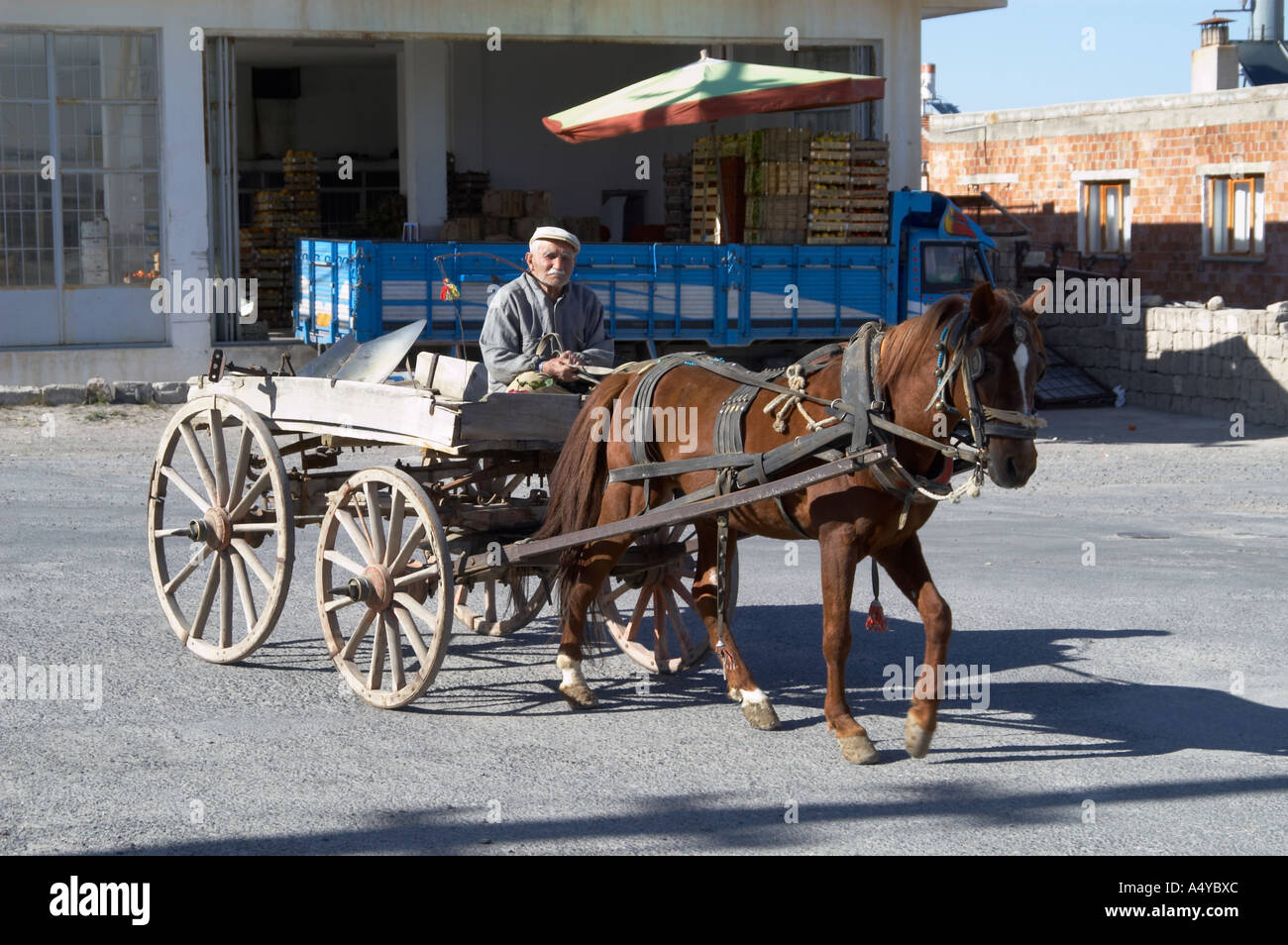 Turkish man driving horse drawn wagon through town in Anatolian region ...