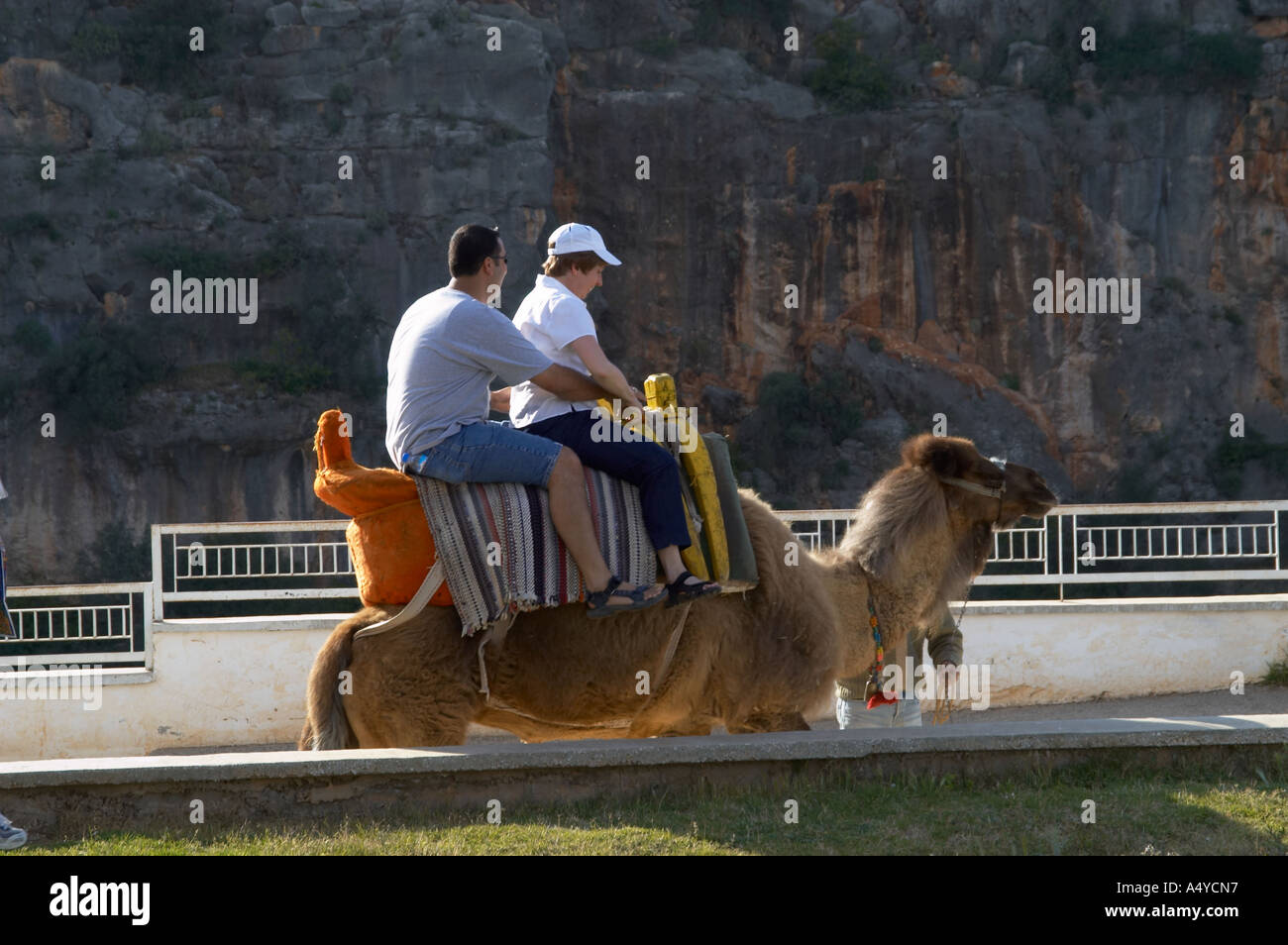 Couple experiencing ride on Camel in Turkey Stock Photo - Alamy
