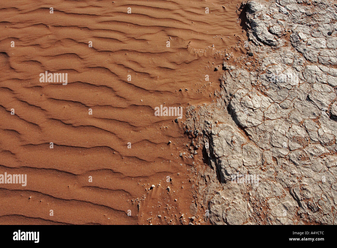 Structure with sand and dry loam in Namib desert, Namibia Stock Photo ...