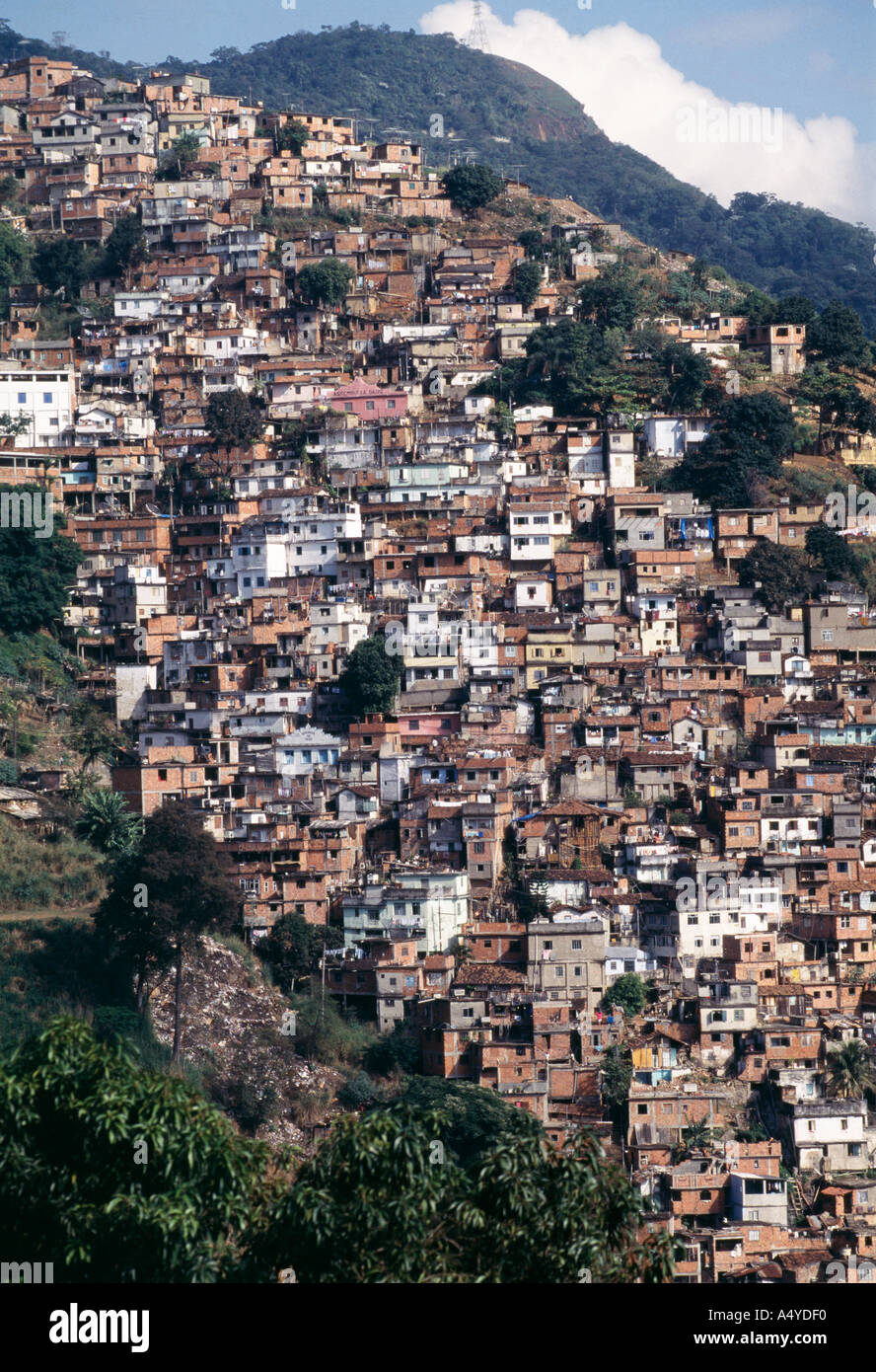 Landscape view of Favela or shantytown Rio do Janeiro Brazil Stock ...