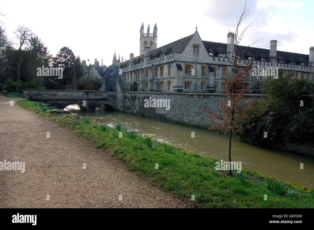 Magdalen College and Tower in the spring Stock Photo - Alamy