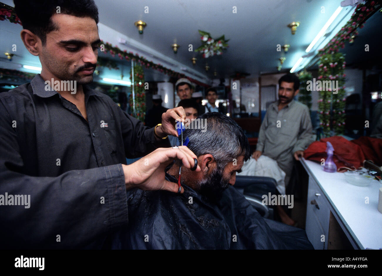 Regular cutting hi-res stock photography and images - Alamy
