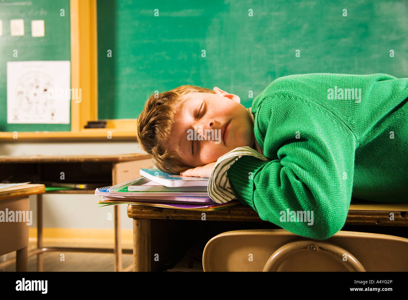 Boy Sleeping In Class