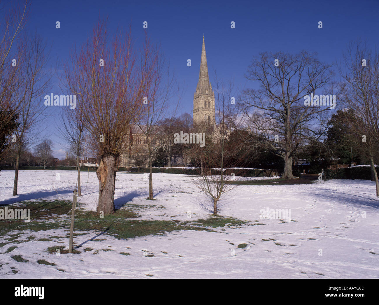 Salisbury cathedral snow hi-res stock photography and images - Alamy