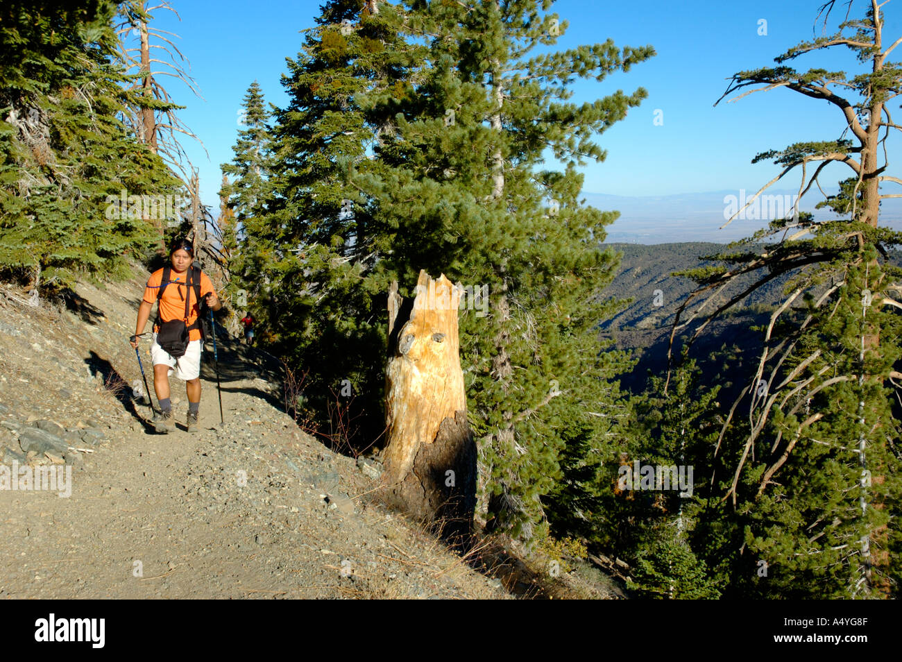 Mt baden powell hi-res stock photography and images - Alamy