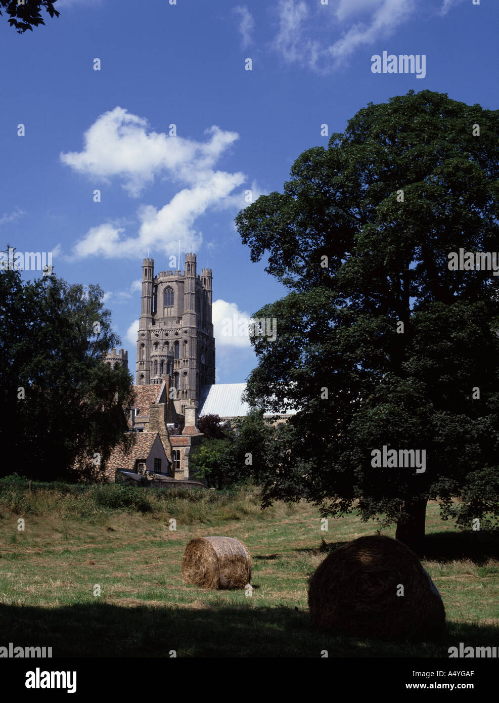 The tower of Ely Cathedral Stock Photo - Alamy