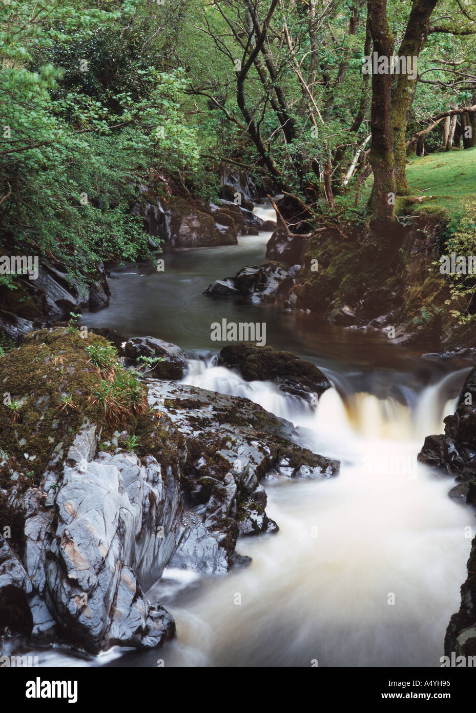 Aber cywarch hi-res stock photography and images - Alamy
