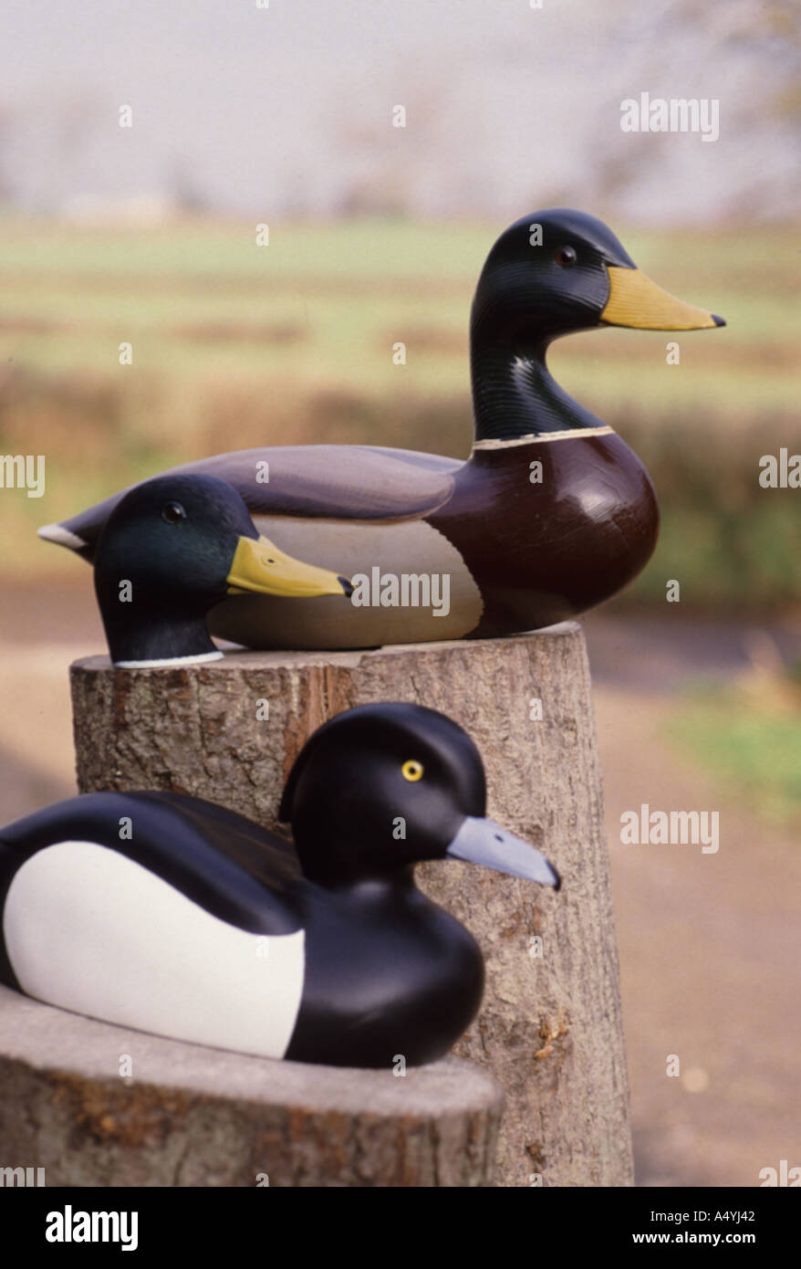 Traditional hunting decoy hi-res stock photography and images - Alamy