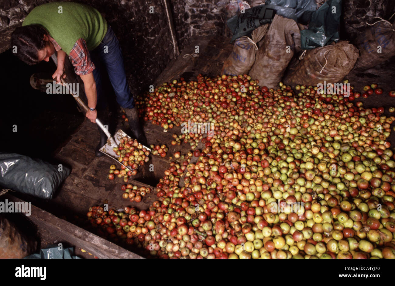 Making cider with a traditional press Stock Photo - Alamy