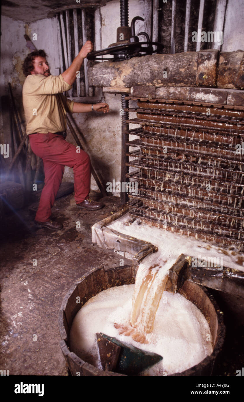 Making traditional cider at Axminster Devon Stock Photo - Alamy