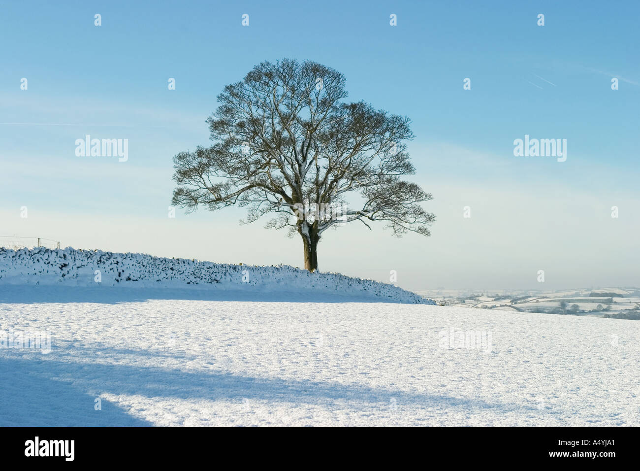 winter snow scene in derbyshire Stock Photo - Alamy