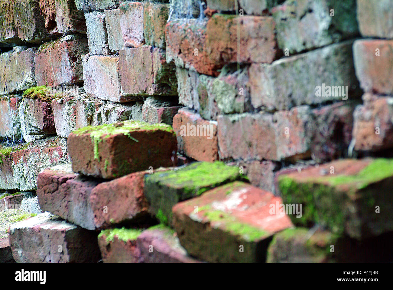A side view of an old falling brick wall covered in moss Stock Photo ...
