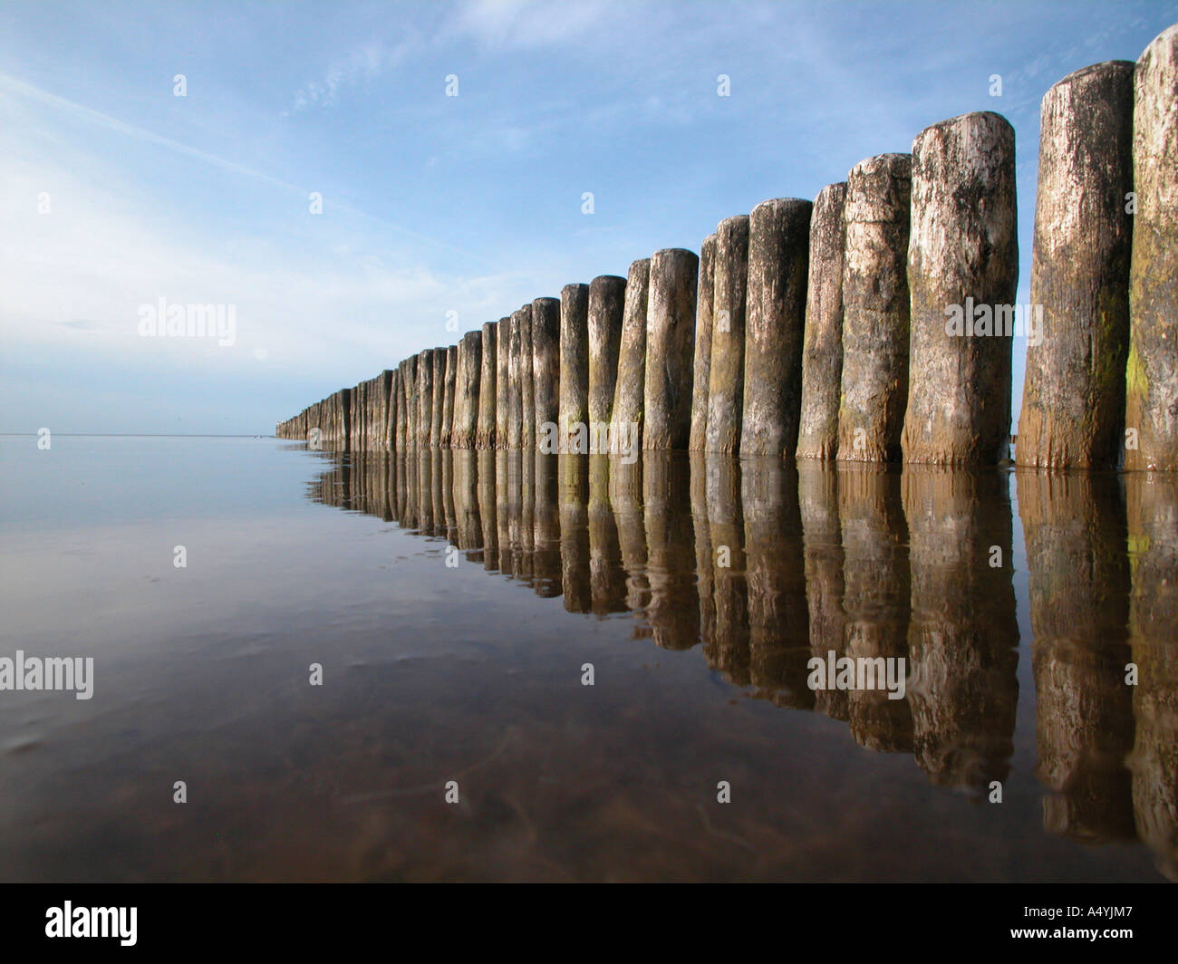 Planks in the water Stock Photo - Alamy