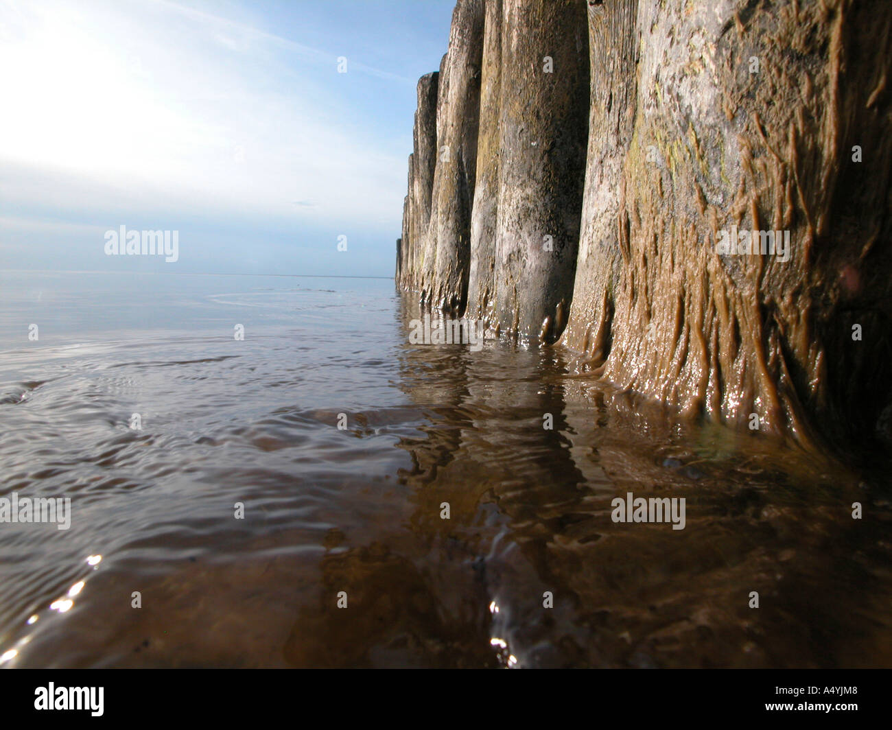 Planks in the water Stock Photo - Alamy