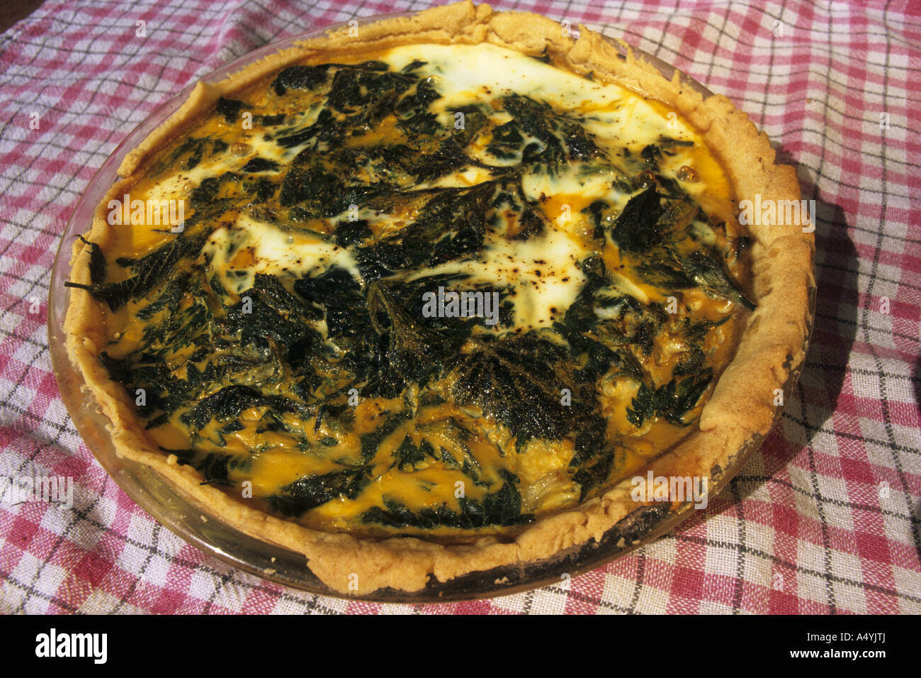 Quiche nettle hi-res stock photography and images - Alamy