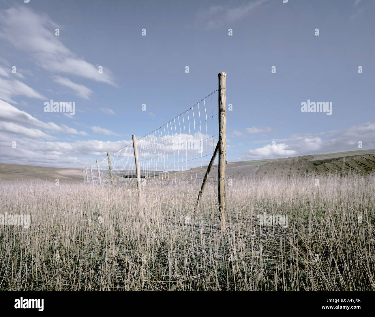 posts and field farming Stock Photo - Alamy
