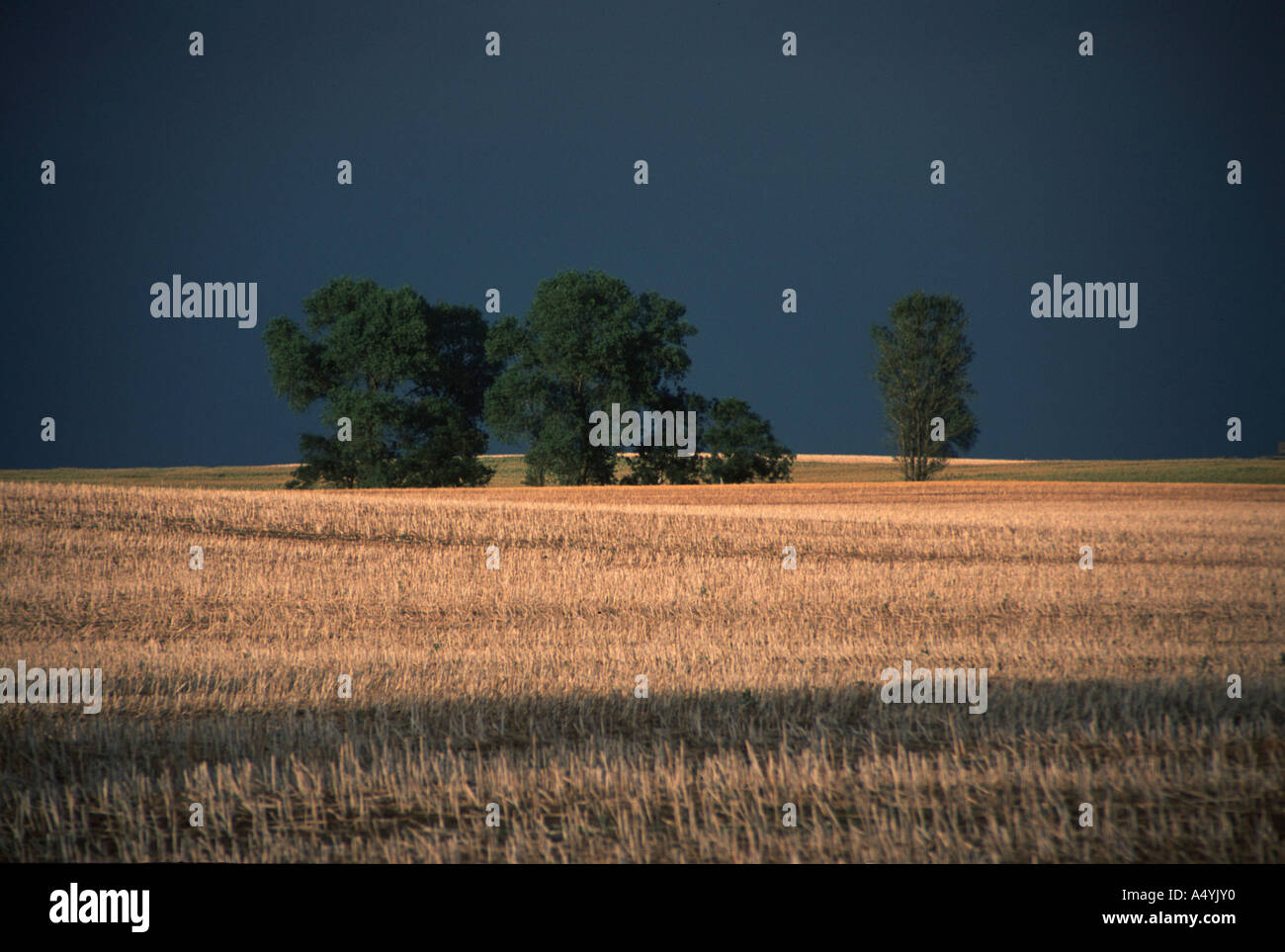 Field bad weather Stock Photo - Alamy