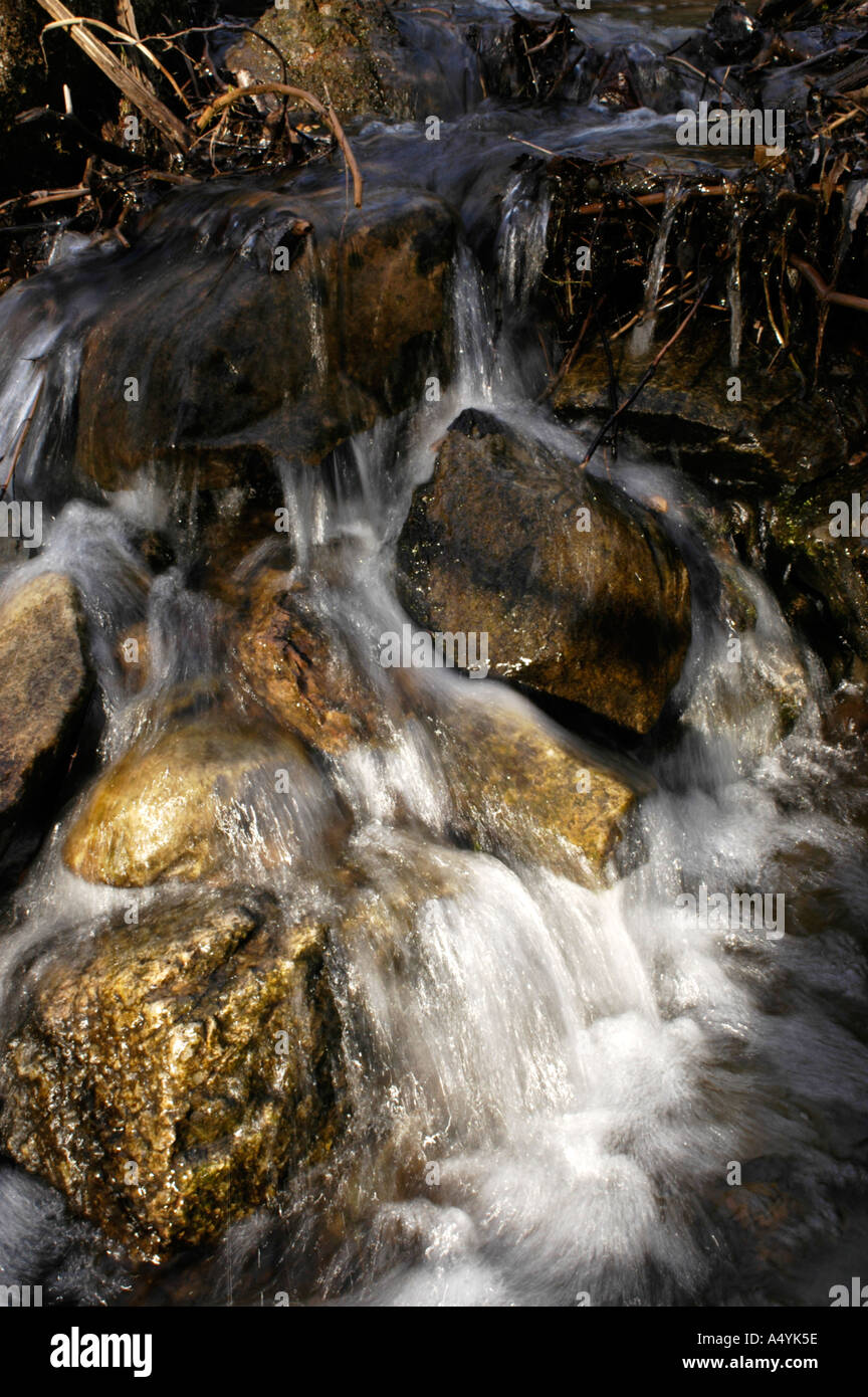 Rushing spring water over rocks in deep dark boreal forest in New ...
