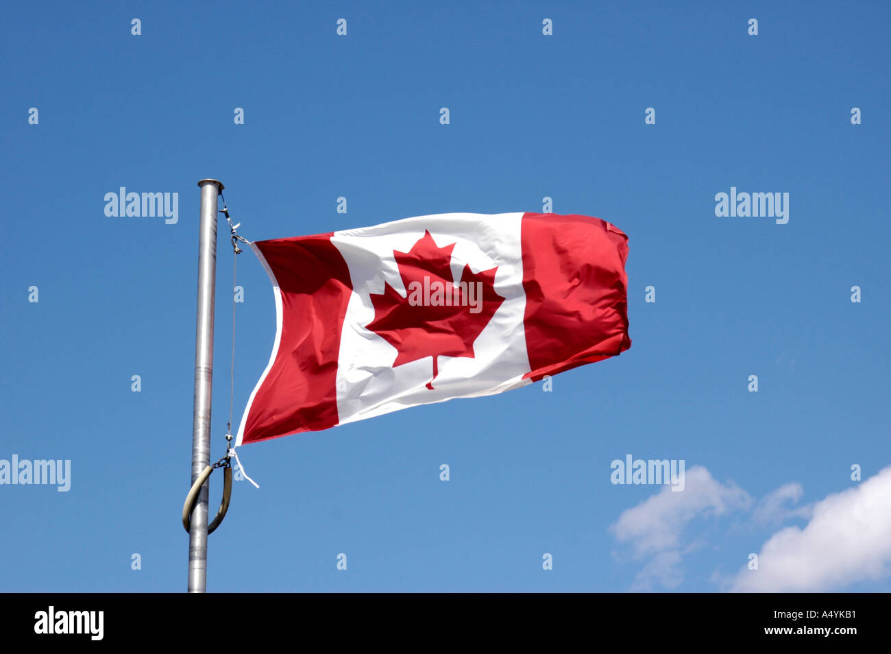 Flapping canadian flag hi-res stock photography and images - Alamy