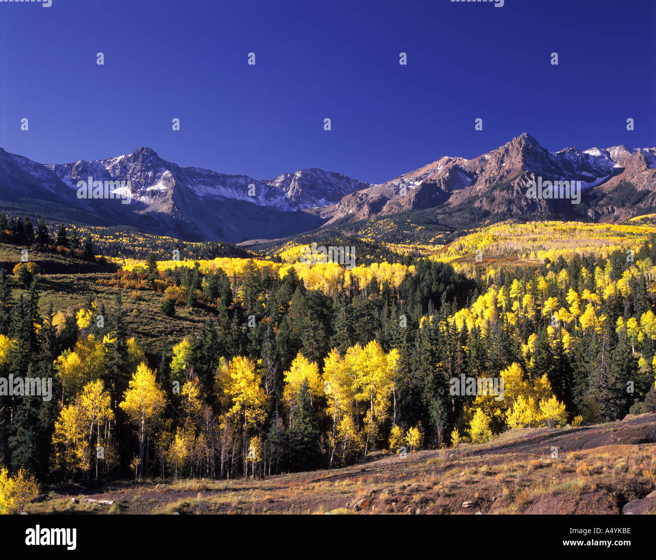 Sneffles range trees hi-res stock photography and images - Alamy