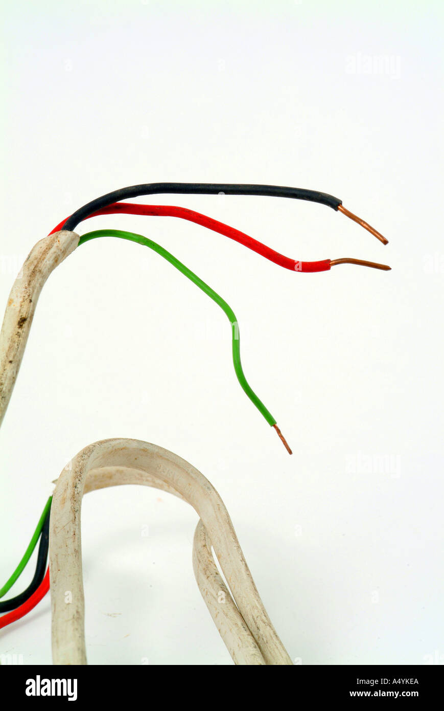 mains cable showing core colours on a white background Stock Photo - Alamy