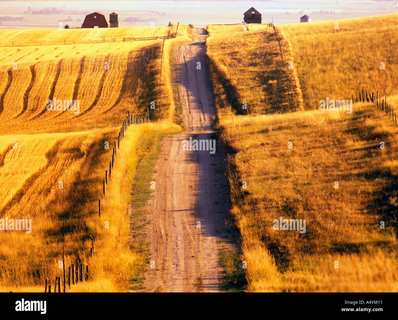 Montana dirt roads hi-res stock photography and images - Alamy