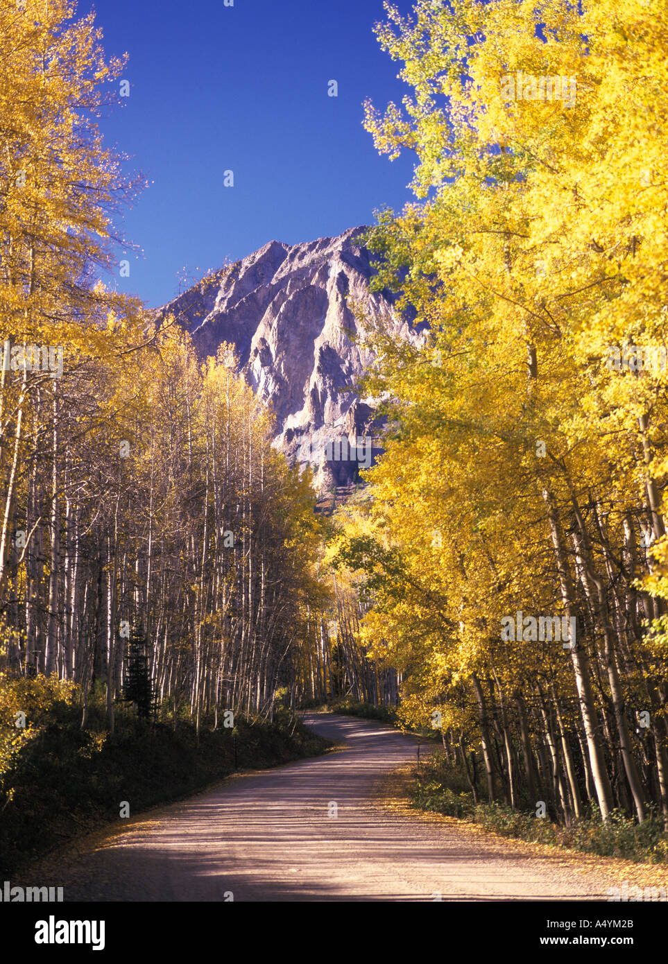 West elk byway hi-res stock photography and images - Alamy