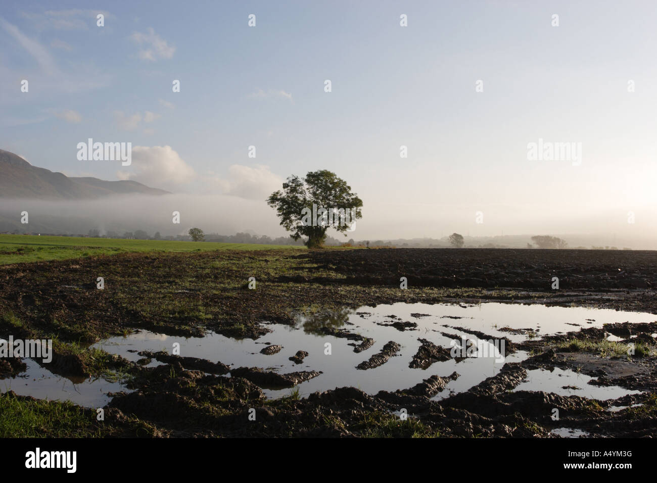 Rain ochil hills hi-res stock photography and images - Alamy