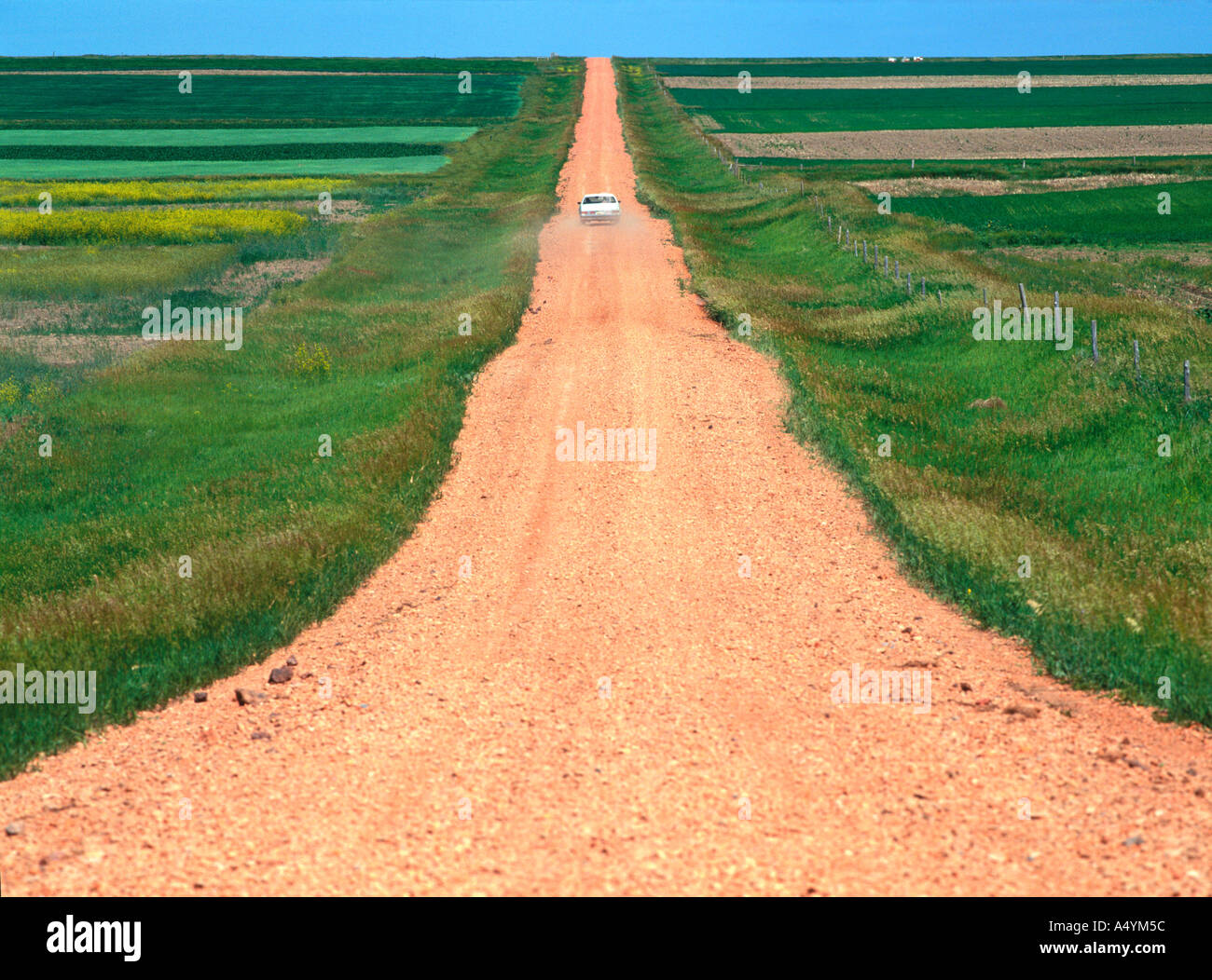 White sedan automobile travels a rural red crushed rock gravel road ...