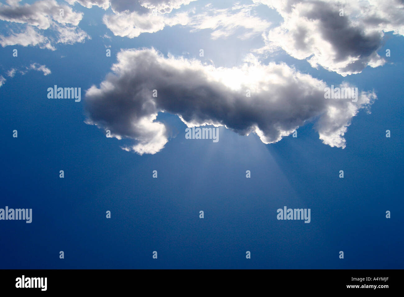 Actinism hi-res stock photography and images - Alamy