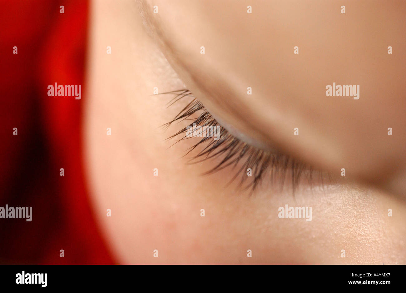 Eye and lashes of a girl seen from above Stock Photo - Alamy