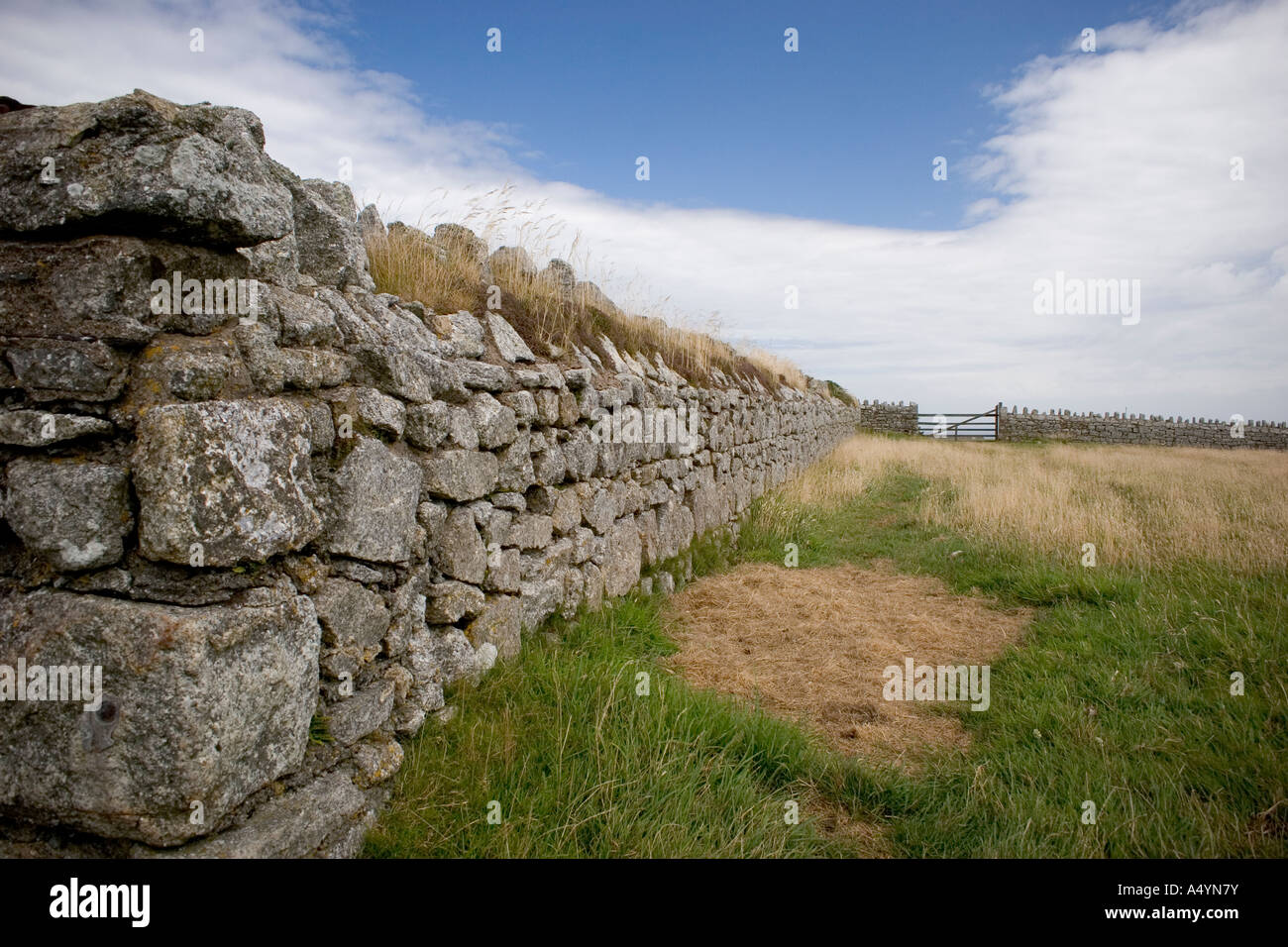 View of a dry stone wall in Lundy Village on Lundy Island Stock Photo ...