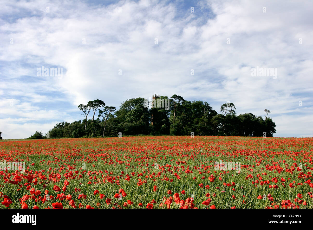 Red folly hi-res stock photography and images - Alamy