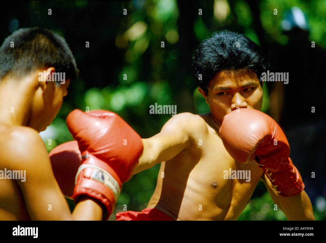 Thailand Thai Boxing Stock Photo - Alamy