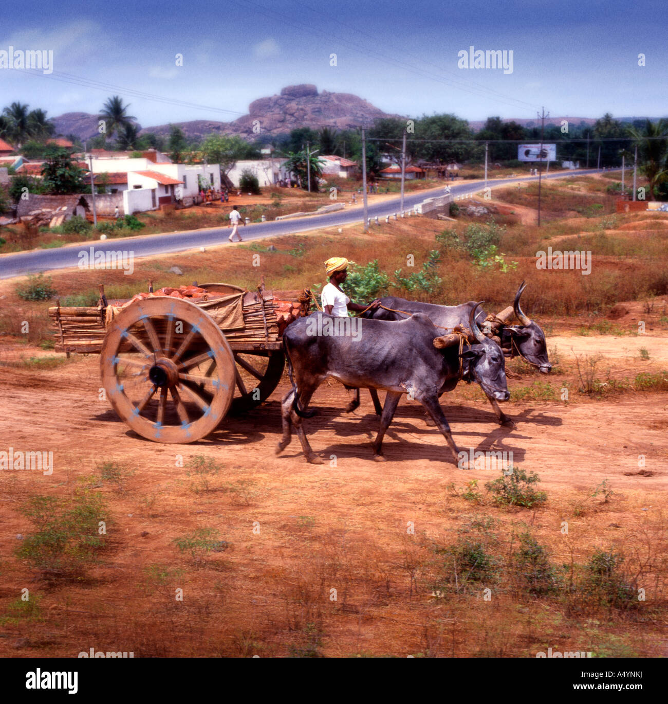 Oxen pulling a cart in India Stock Photo - Alamy