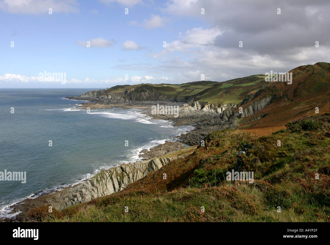 Bull point hi-res stock photography and images - Alamy