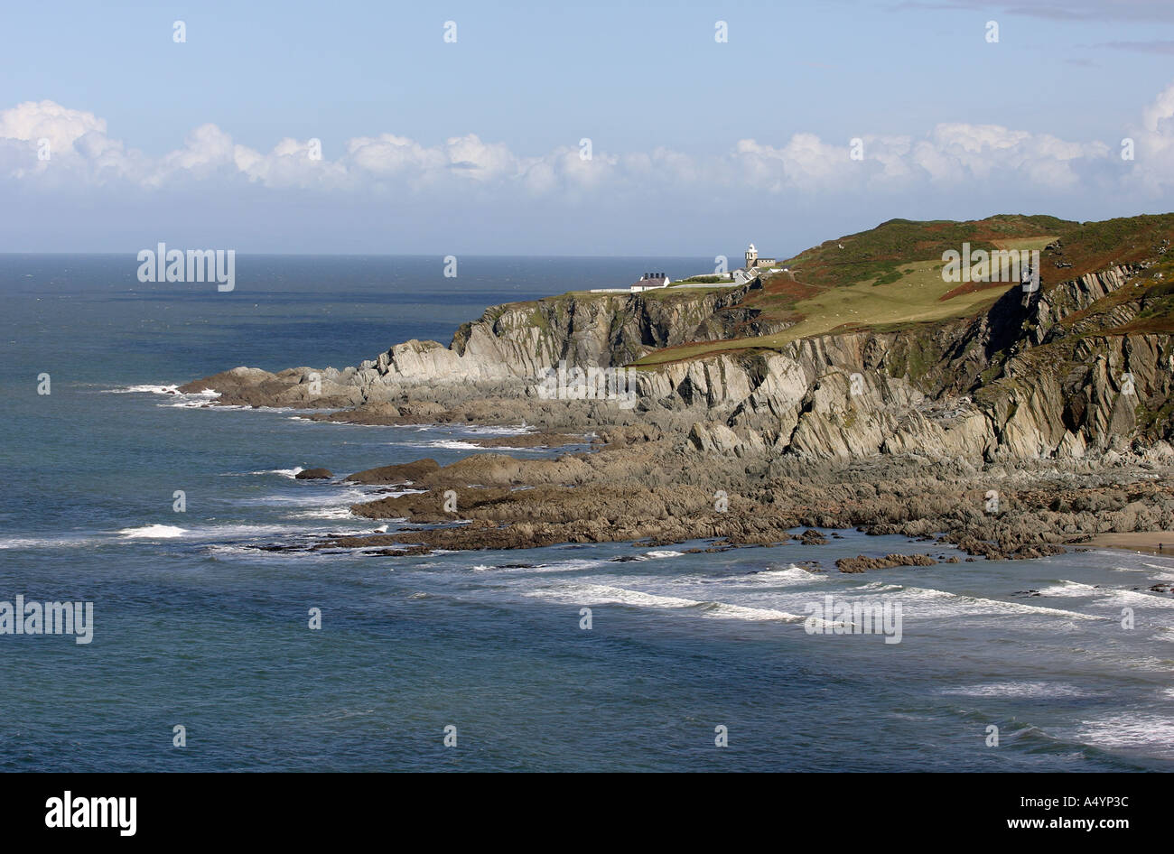 Bull point hi-res stock photography and images - Alamy