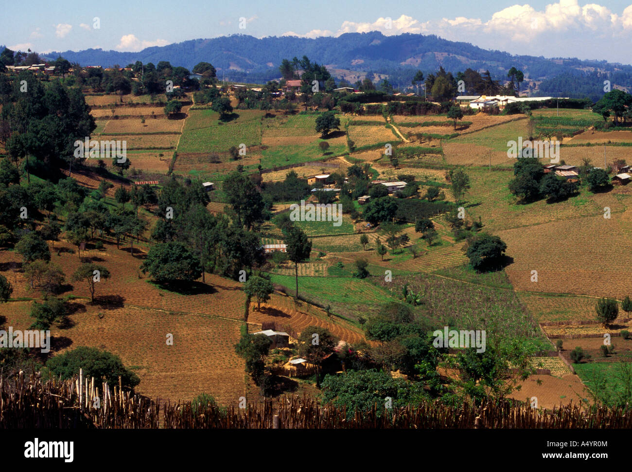 agriculture, agricultural crops, cropland, farm, farms, between towns ...