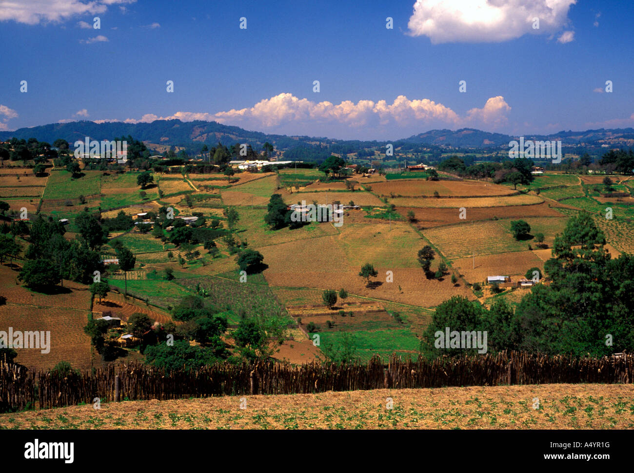 agriculture, agricultural crops, cropland, farm, farms, between towns ...