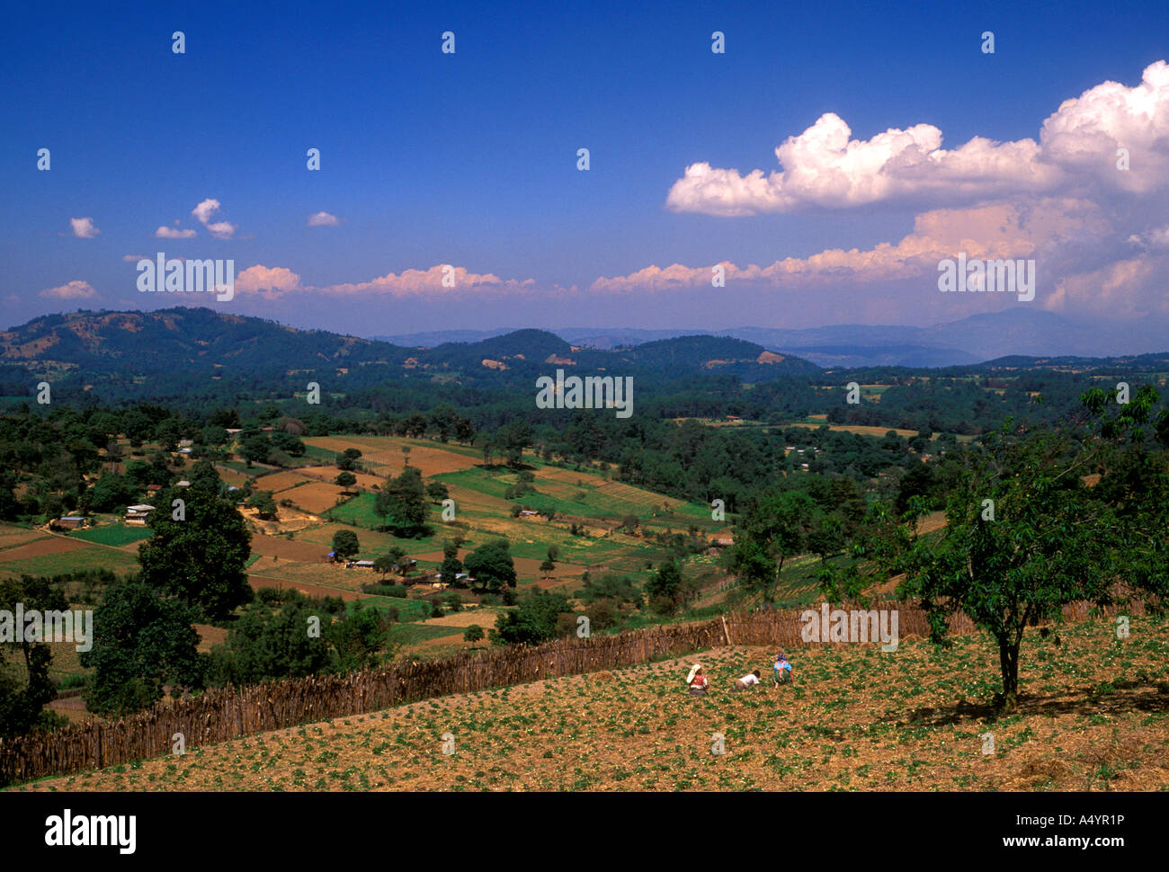 agriculture, agricultural crops, cropland, farm, farms, between towns ...