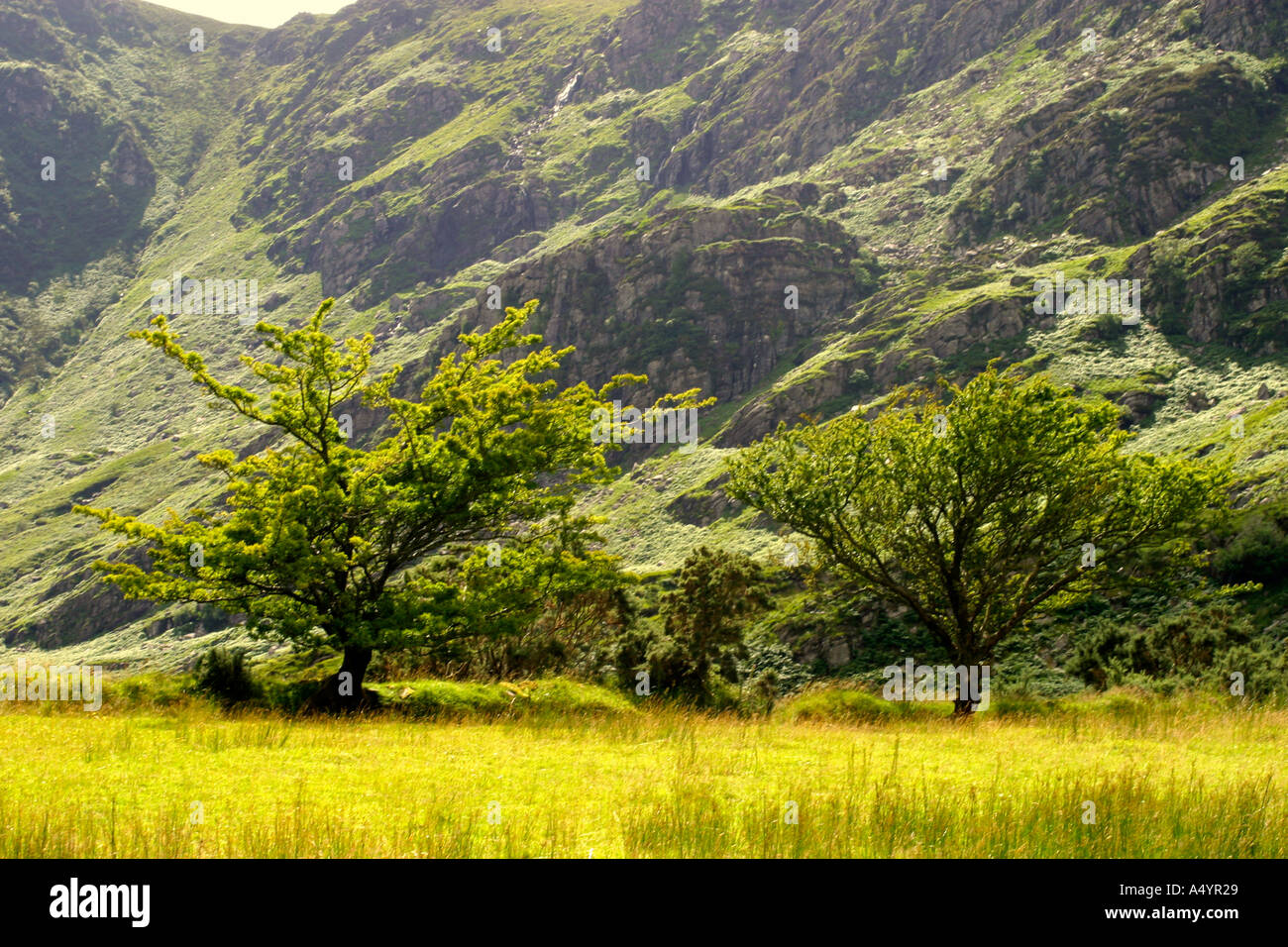 Caragh bridge hi-res stock photography and images - Alamy