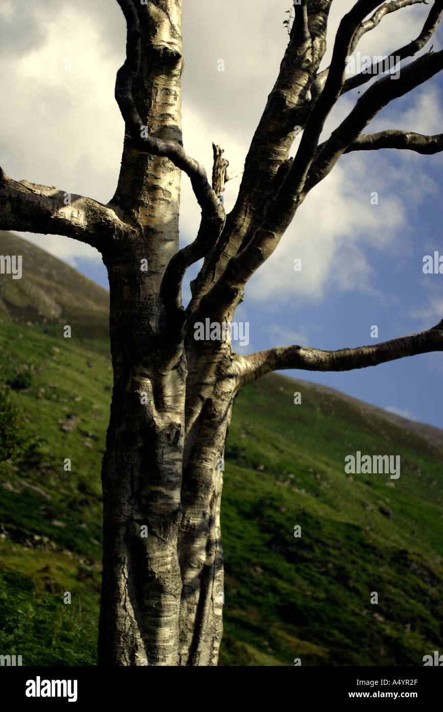 Caragh bridge hi-res stock photography and images - Alamy