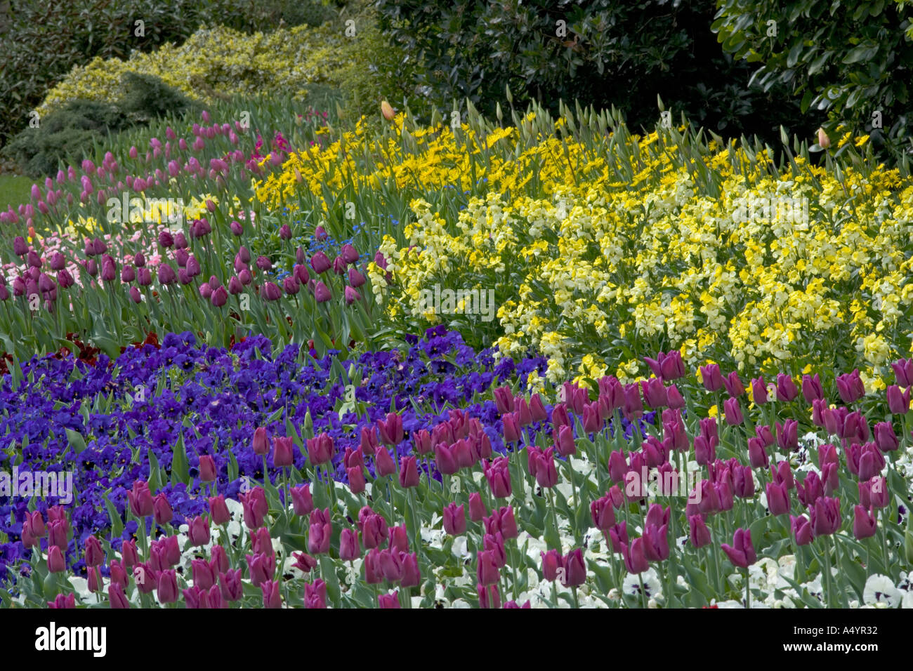 Spring Flowers in Regents Park London UK April Stock Photo - Alamy