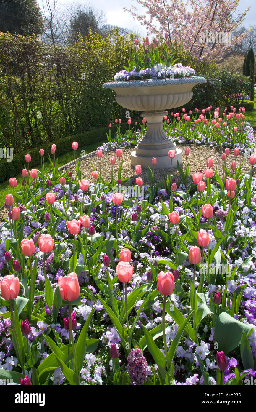 Spring Flowers in Regents Park London UK April Stock Photo - Alamy