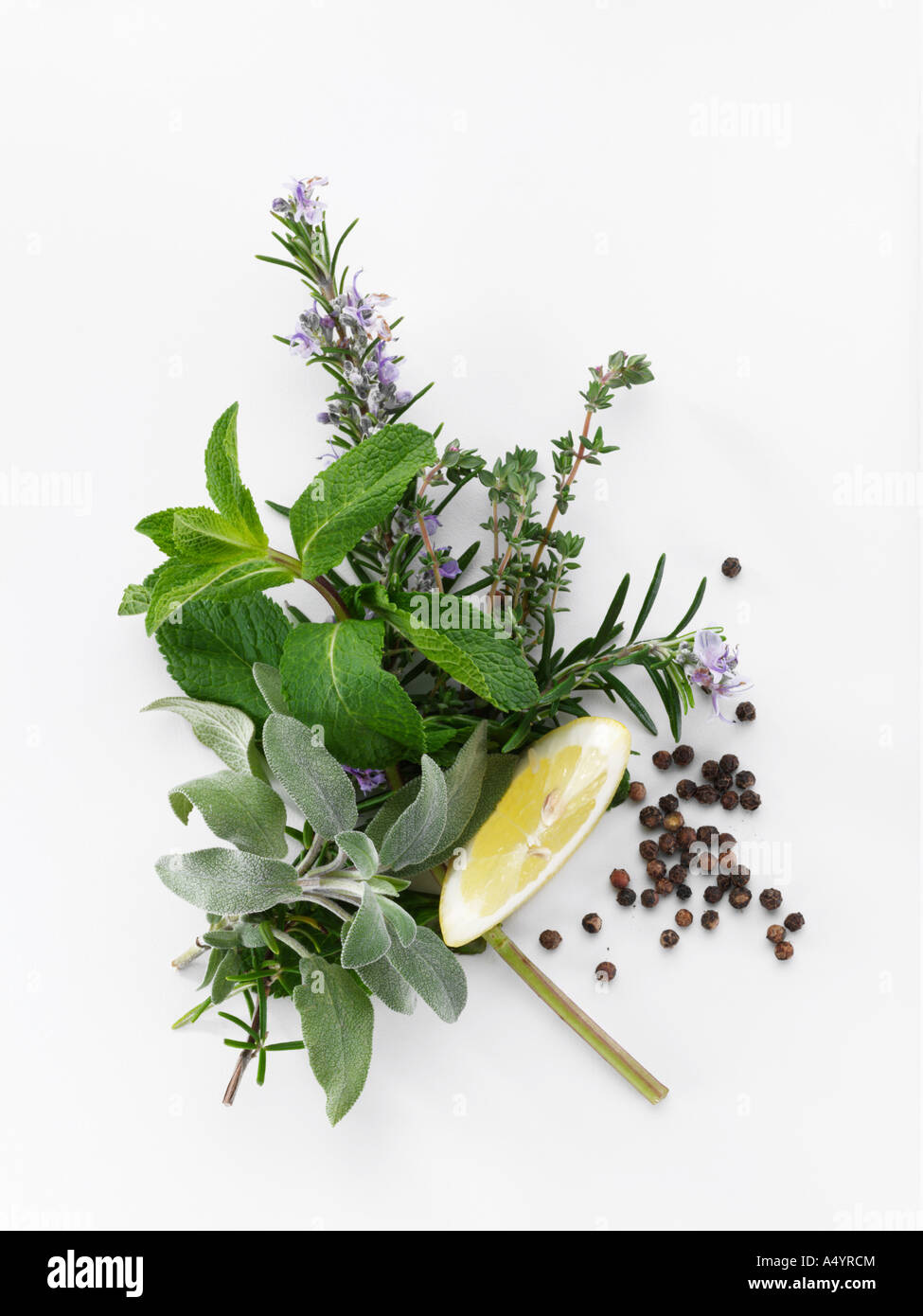 Selection of fresh herbs on white background Stock Photo - Alamy