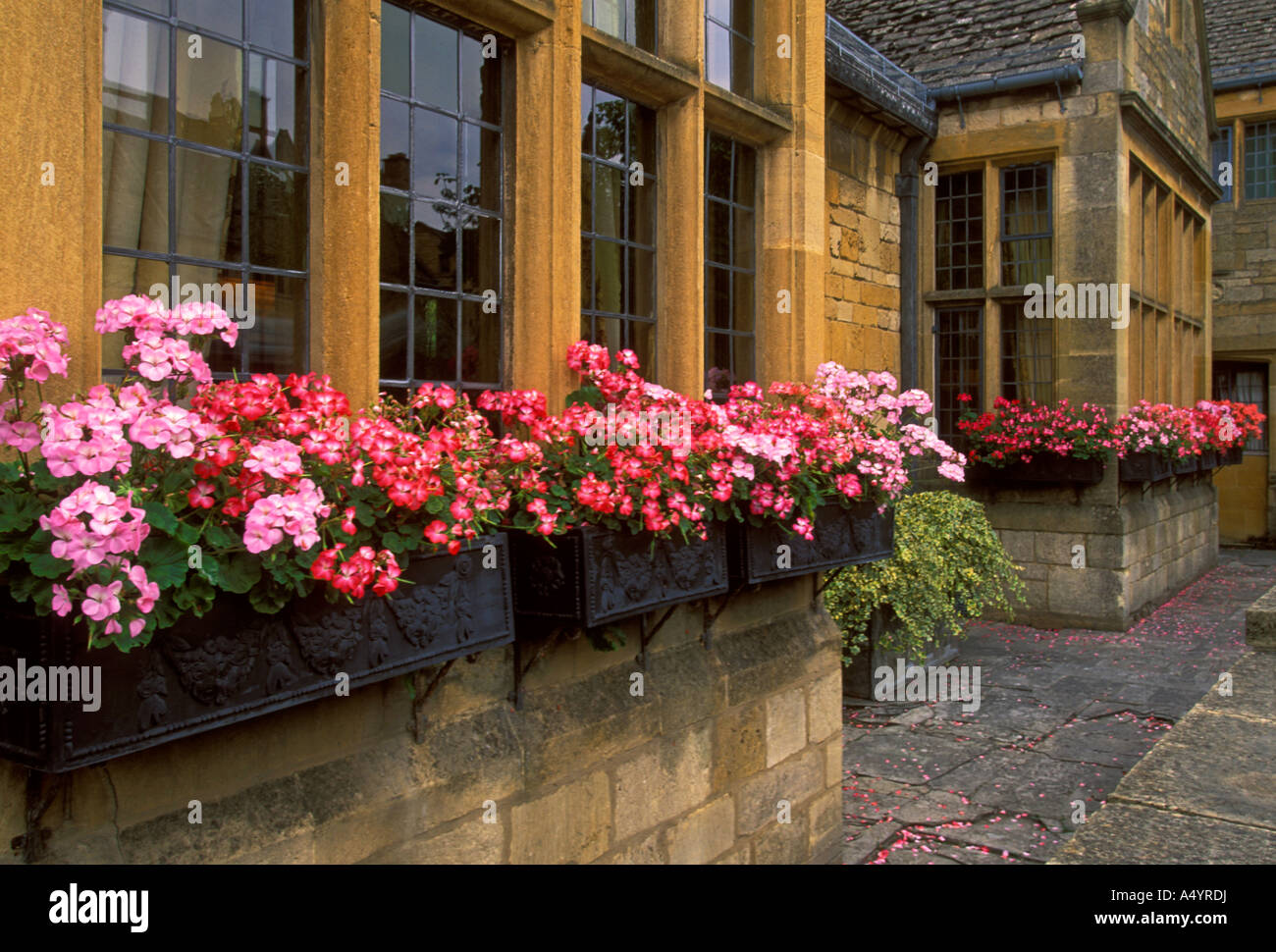 Window box with flowers Broadway Worcestershire County England Europe ...
