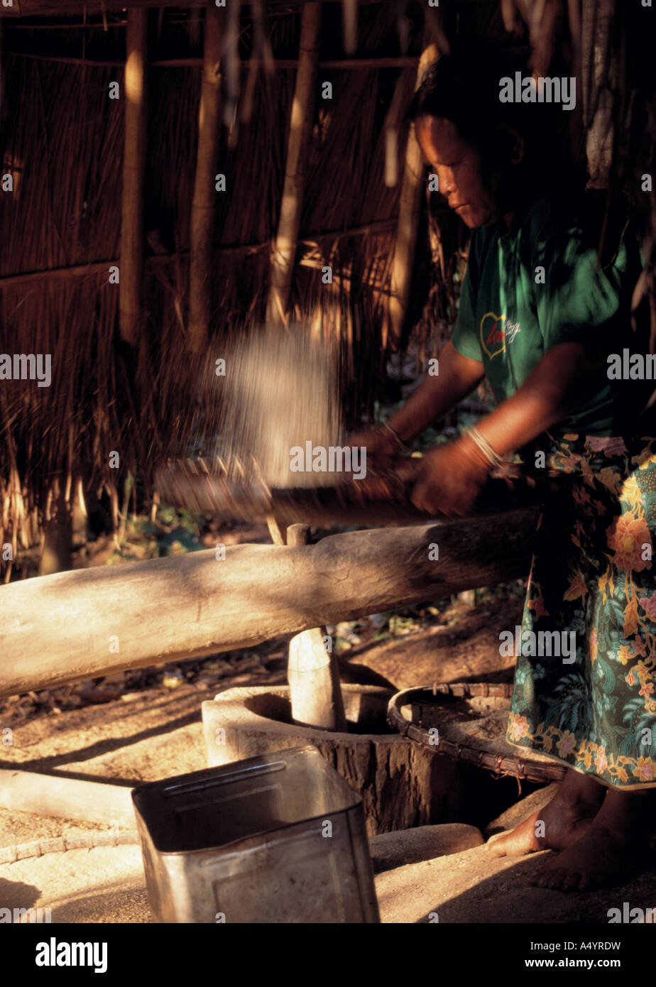 Lahu tribe woman Northern Thailand winnowing grain early morning Stock ...